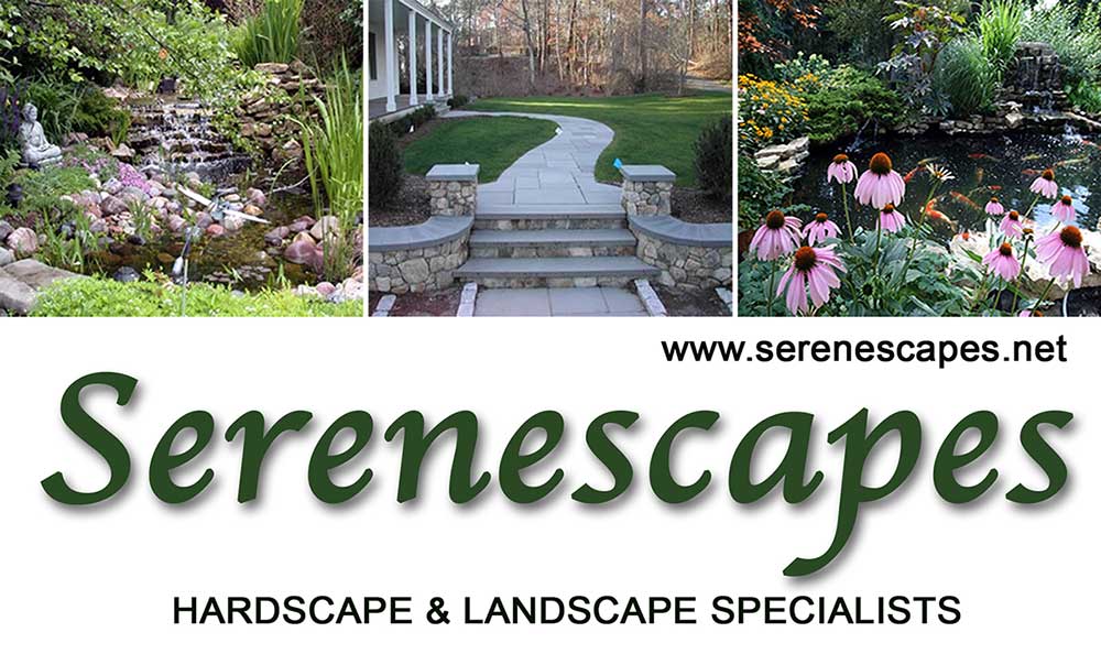 Hardscapes are a great investment in your home. | Serenescapes